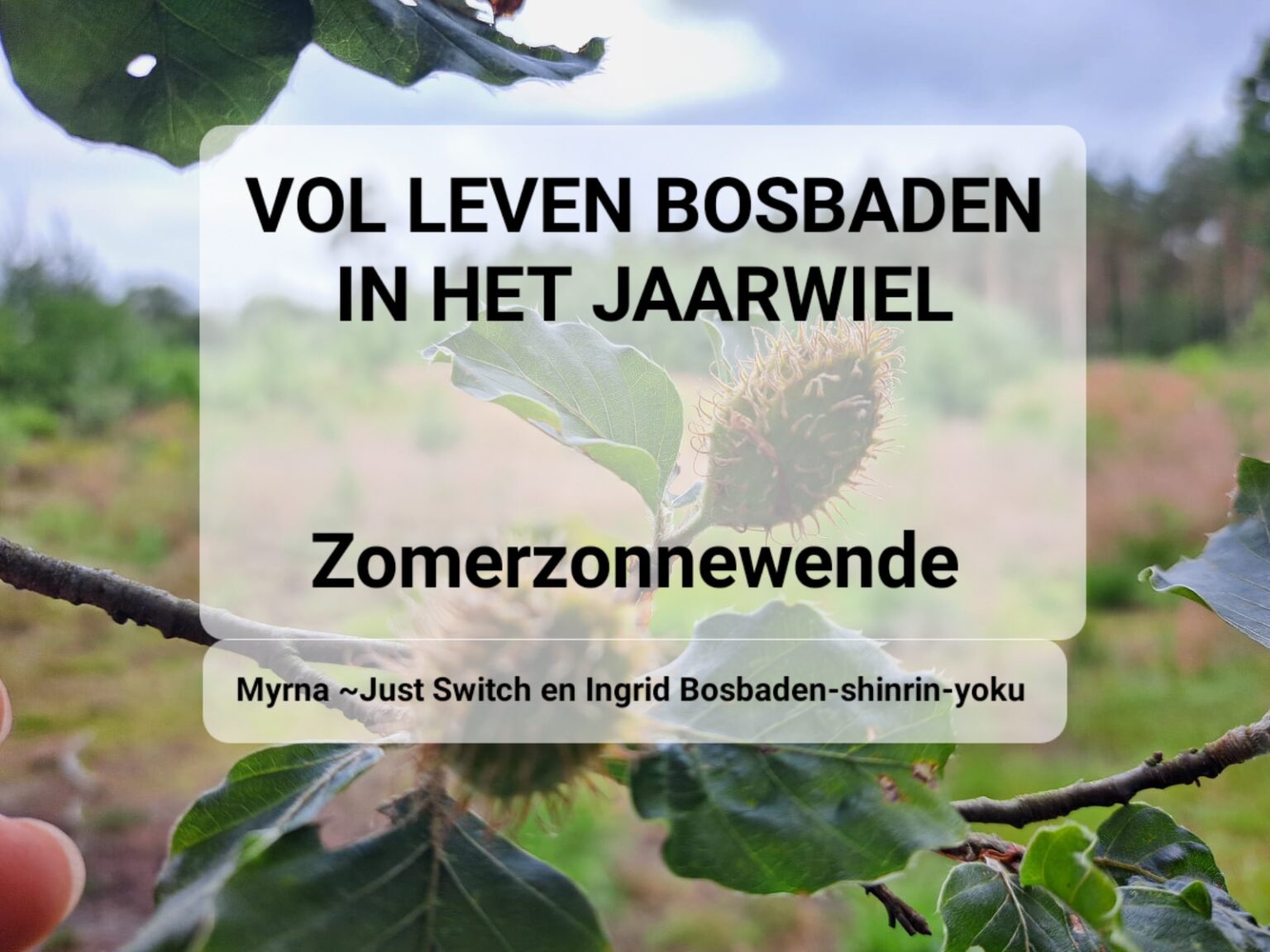 Vol Leven Bosbaden in het Jaarwiel | 21 Juni 2025 ZOMERZONNEWENDE ...
